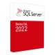 SQL Server 2022 CAL – Device - discount-licensing